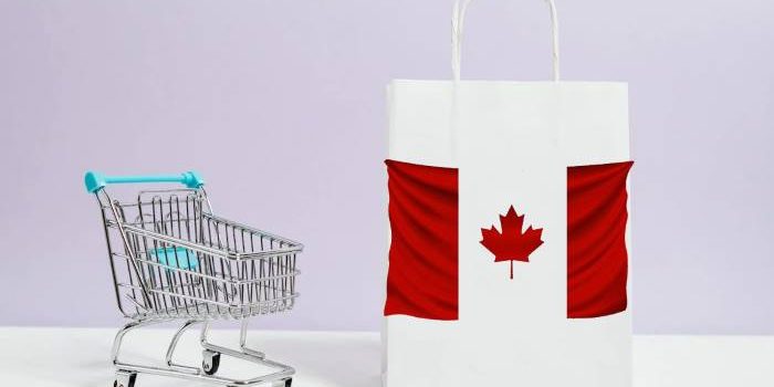 5 Things To Consider Before Starting A Canadian E-Commerce Website ...